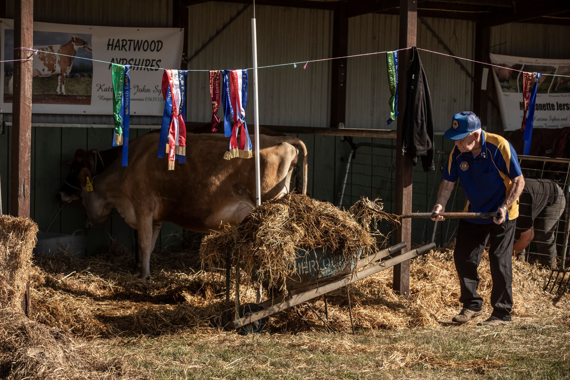 Solstice Energy's Privacy Policy