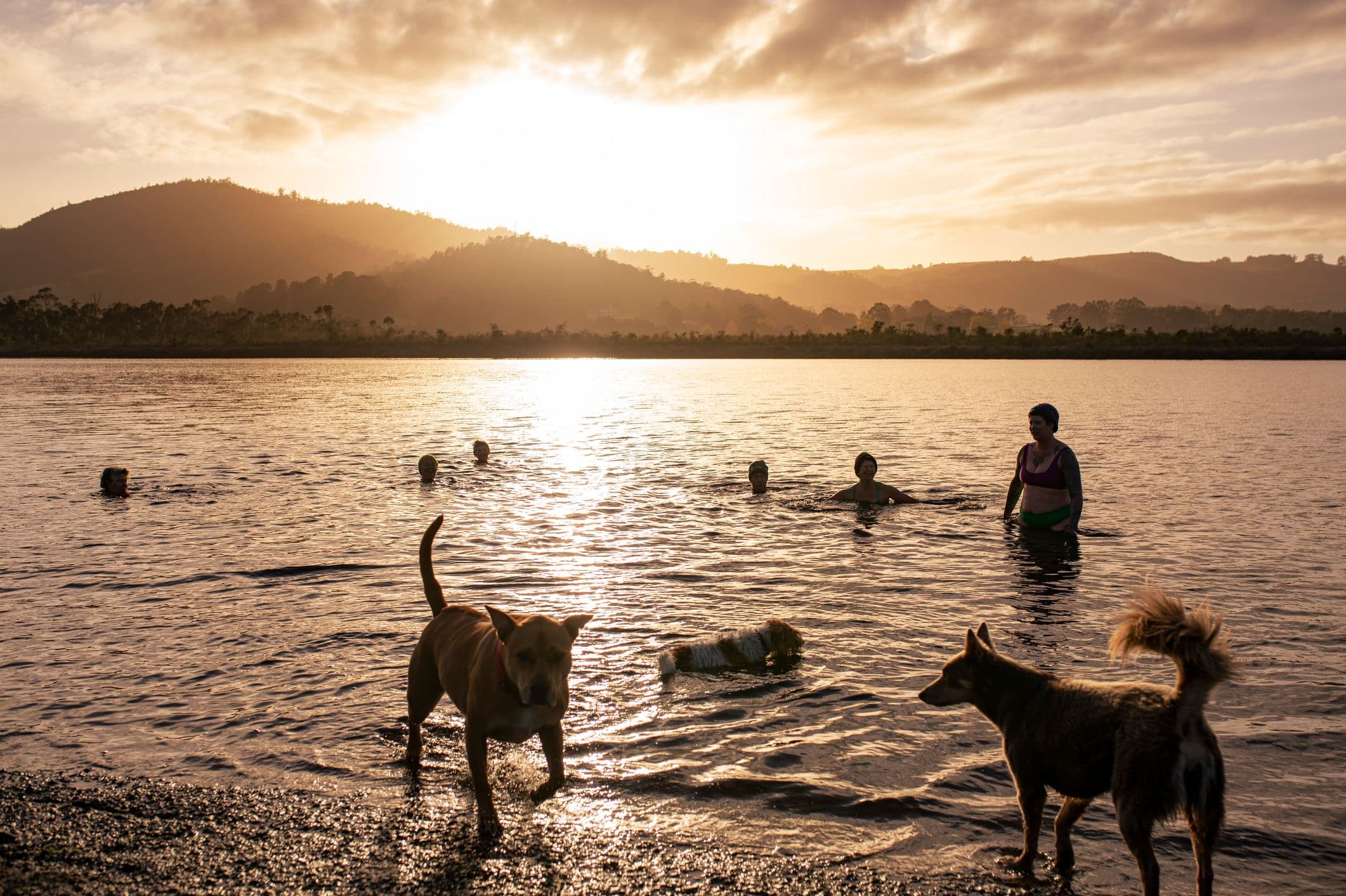 Solstice Energy Group